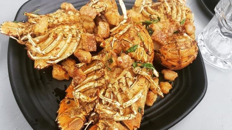 KINGFISH | Tôm mũ ni giá bao nhiêu? Mua ở đâu, cách chế biến như thế nào?